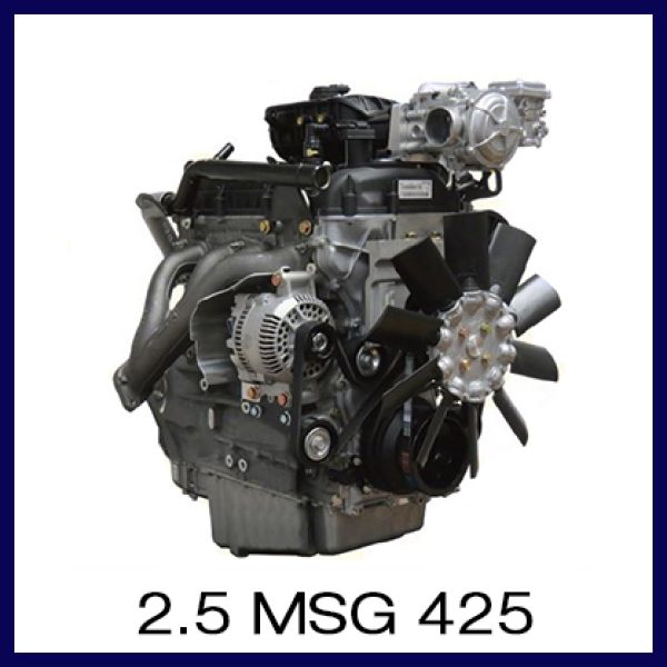 2.5 MSG 425 - Industrial Engines Ltd.